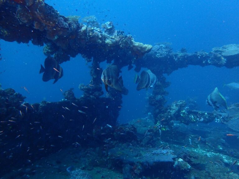 Coron Diving1 - Palawan Perfection