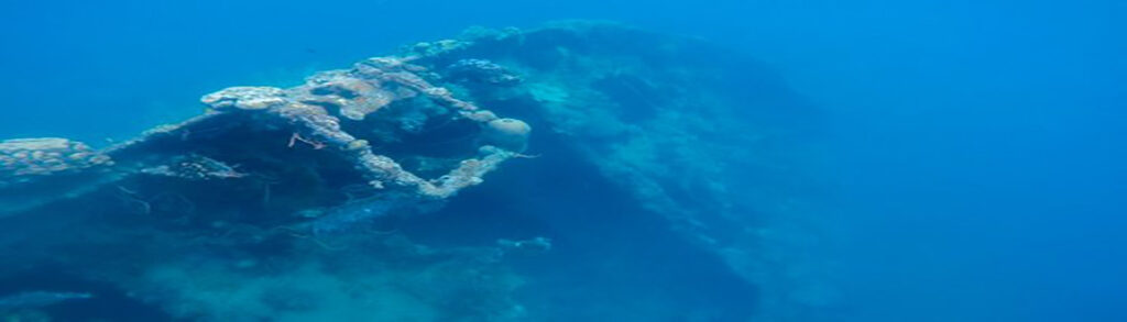 Coron Diving - Palawan Perfection