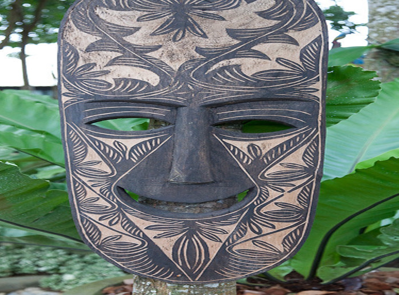 Culture & Heritage - Palawan Perfection