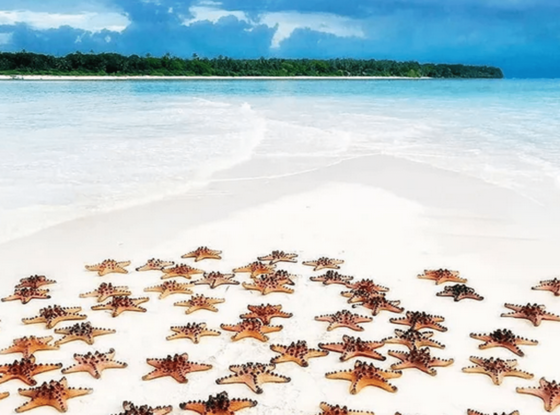 Balabac Palawan - Palawan Perfection