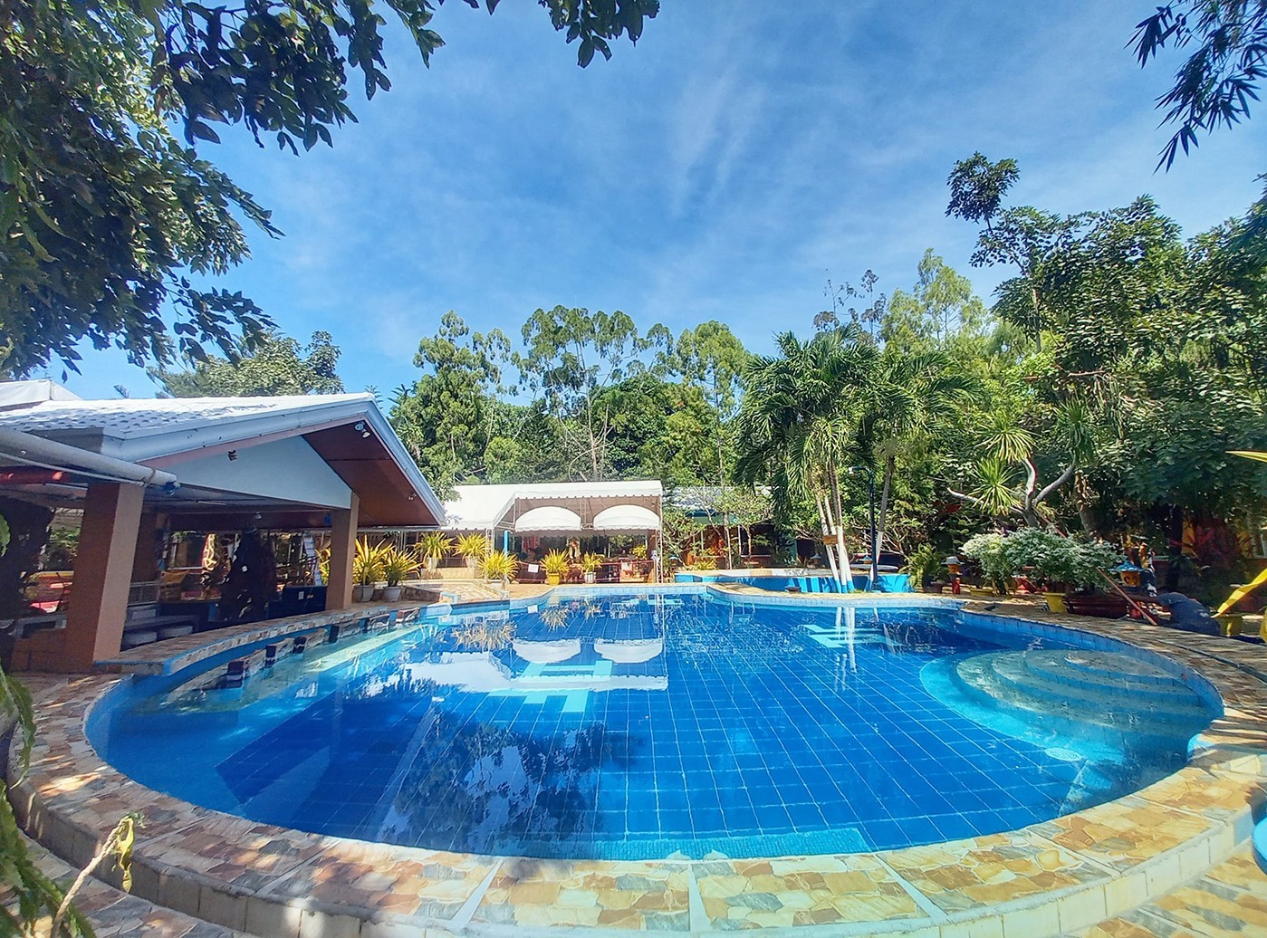 International Restaurants - Palawan Perfection