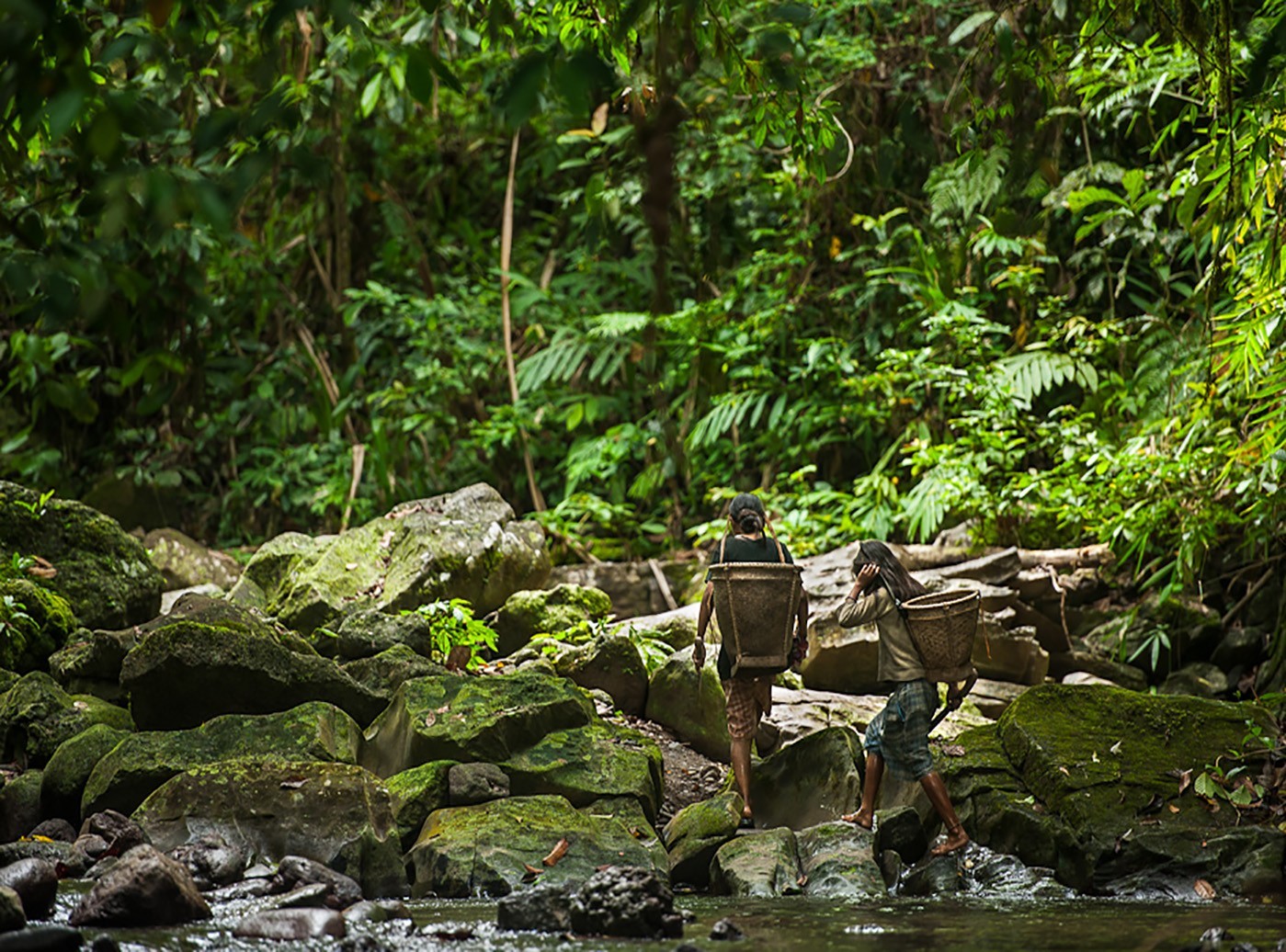 Rizal - Palawan Perfection