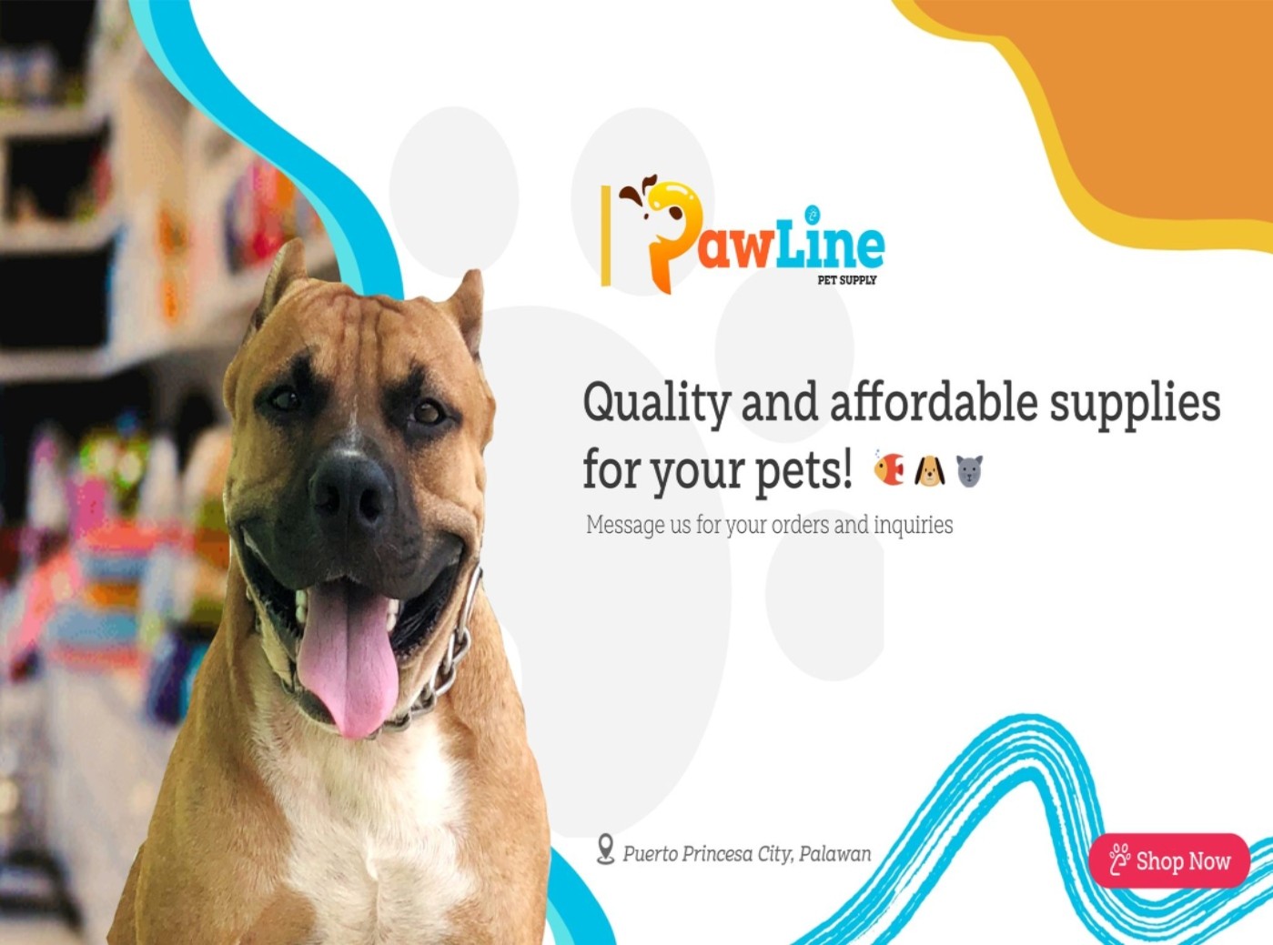 Pets - Palawan Perfection