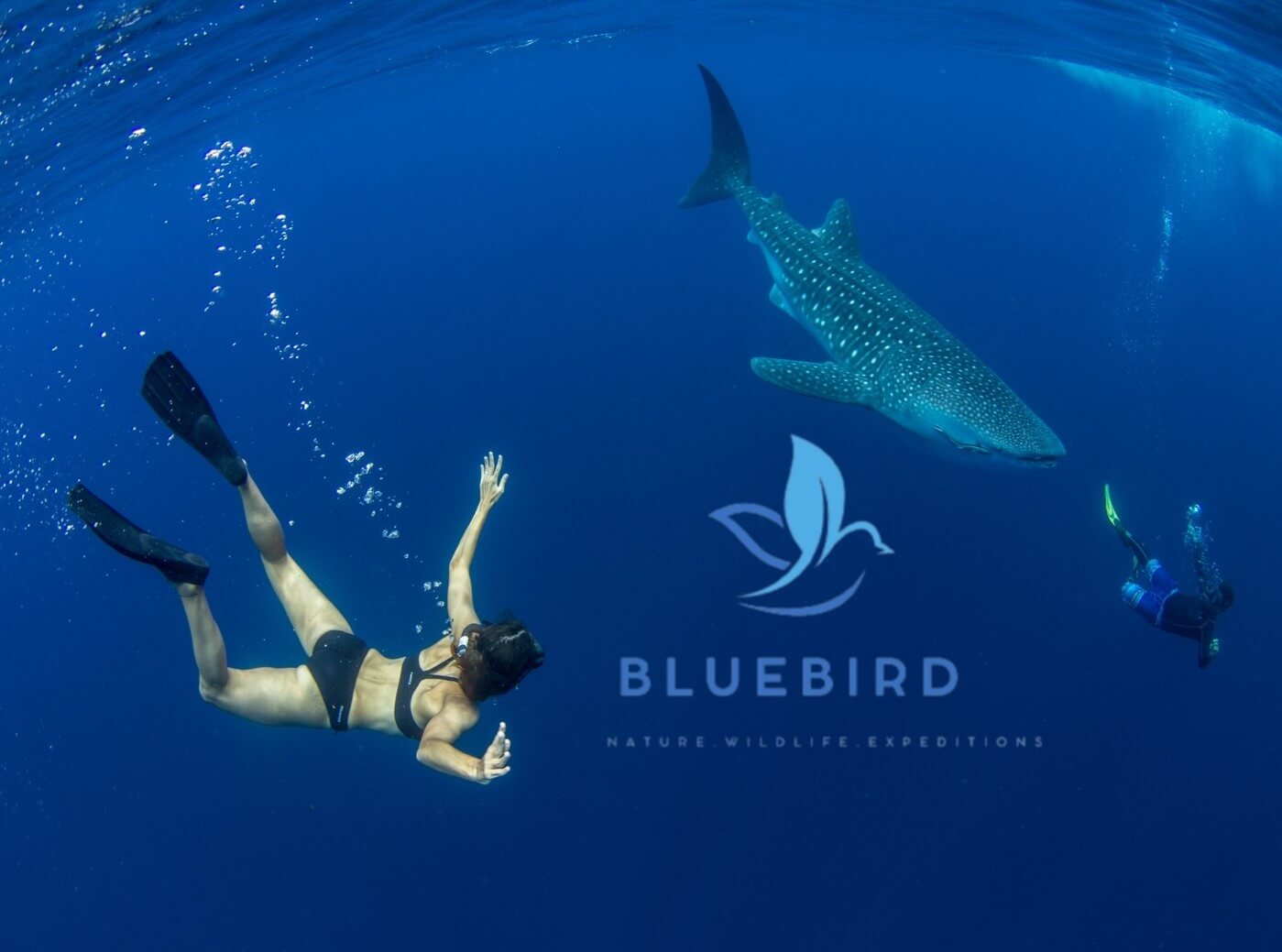 Tour Operators & Guides - Palawan Perfection